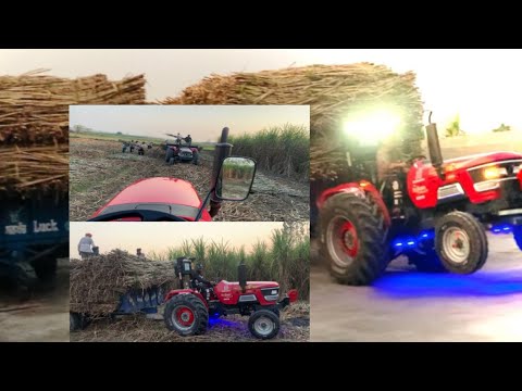 Trali load sugarcane🚩 tractor fas gea🚜 #tractorvlog 🔥 - YouTube