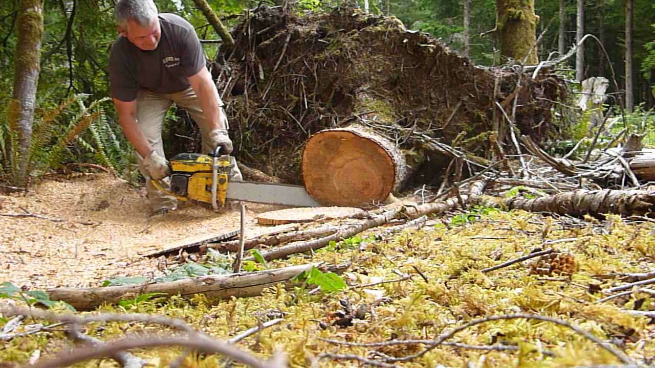 McCulloch Super Pro 125 vintage chainsaw (8) - YouTube