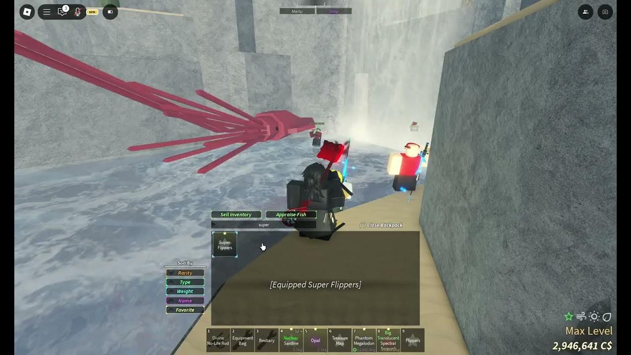 Report SCRIPTER in FISCH - YouTube