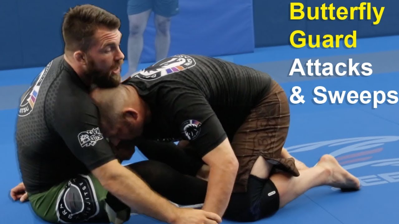How To Stop Smash Passers in BJJ with Butterfly Guard Sweep + Choke ...