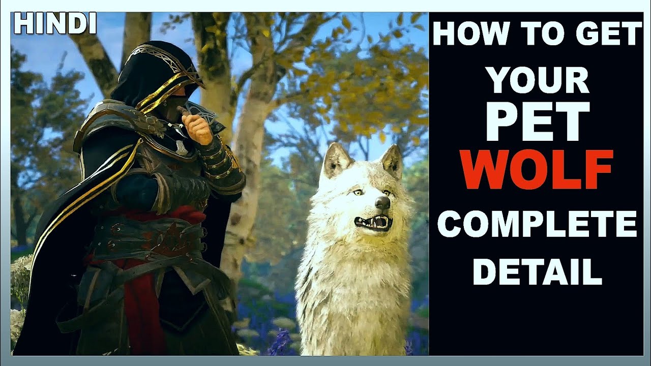 How To Get A Wolf Companion That Will Fight With You! Assassin's Creed ...