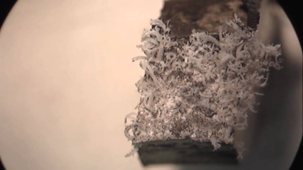 Filiform corrosion - YouTube