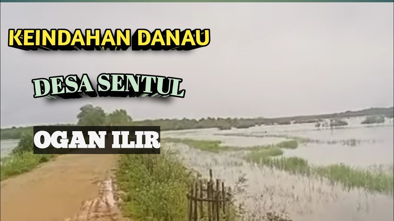 keindahan danau di desa Sentul Ogan Ilir Sumatera selatan - YouTube