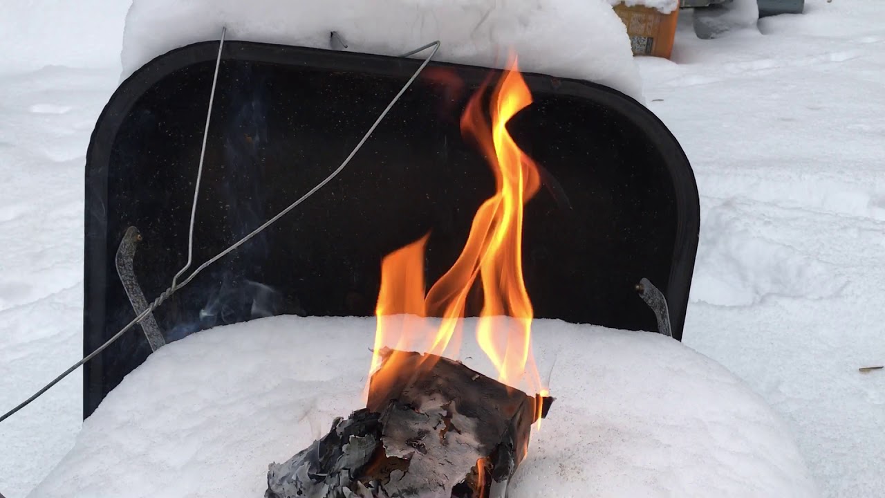 Burning roaches part two alive Full video - YouTube