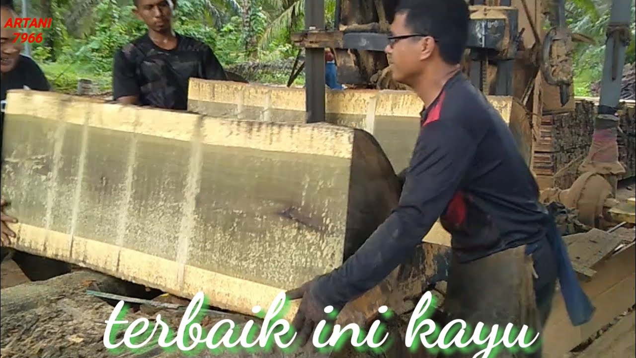 Amazing sawmill wood!!proses pemotongan kayu kayu besar dan ternaik ...