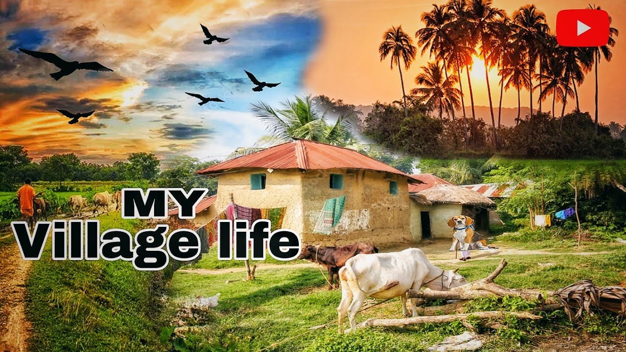 My Village Video || Village Life || আমার গ্রামের || গ্রামীণ Video - YouTube