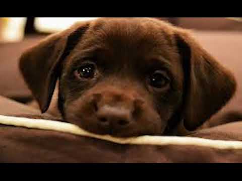 Jamie Byerlee Synopsis - YouTube