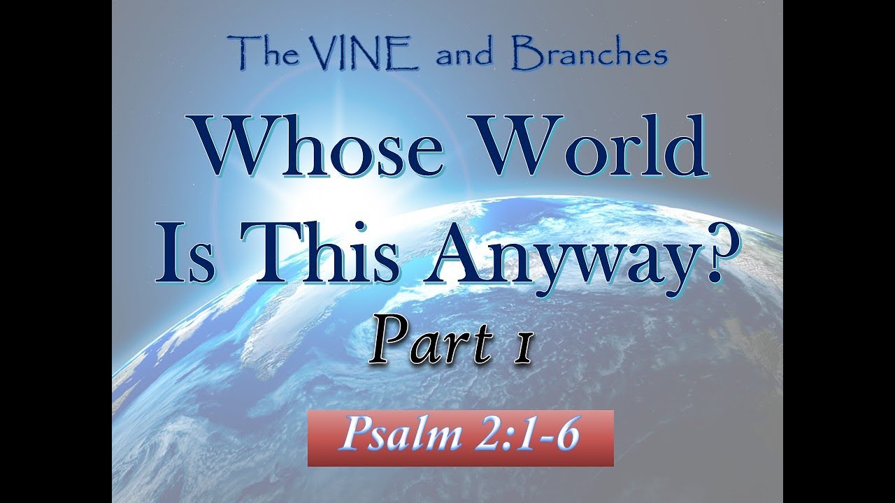 Whose World Is This Anyway Part 1_The VINE and Branches - YouTube