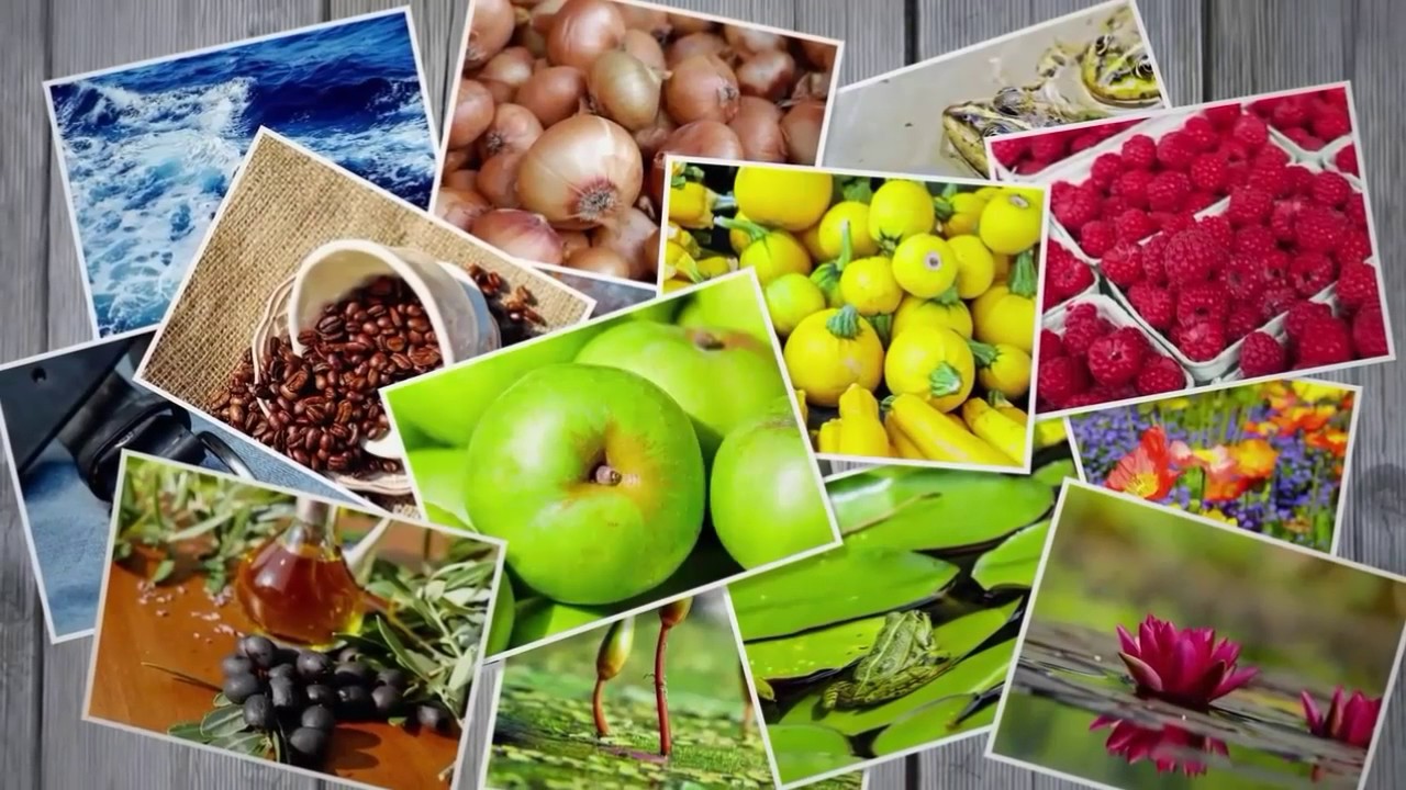 A Origem das frutas | Cereja - YouTube