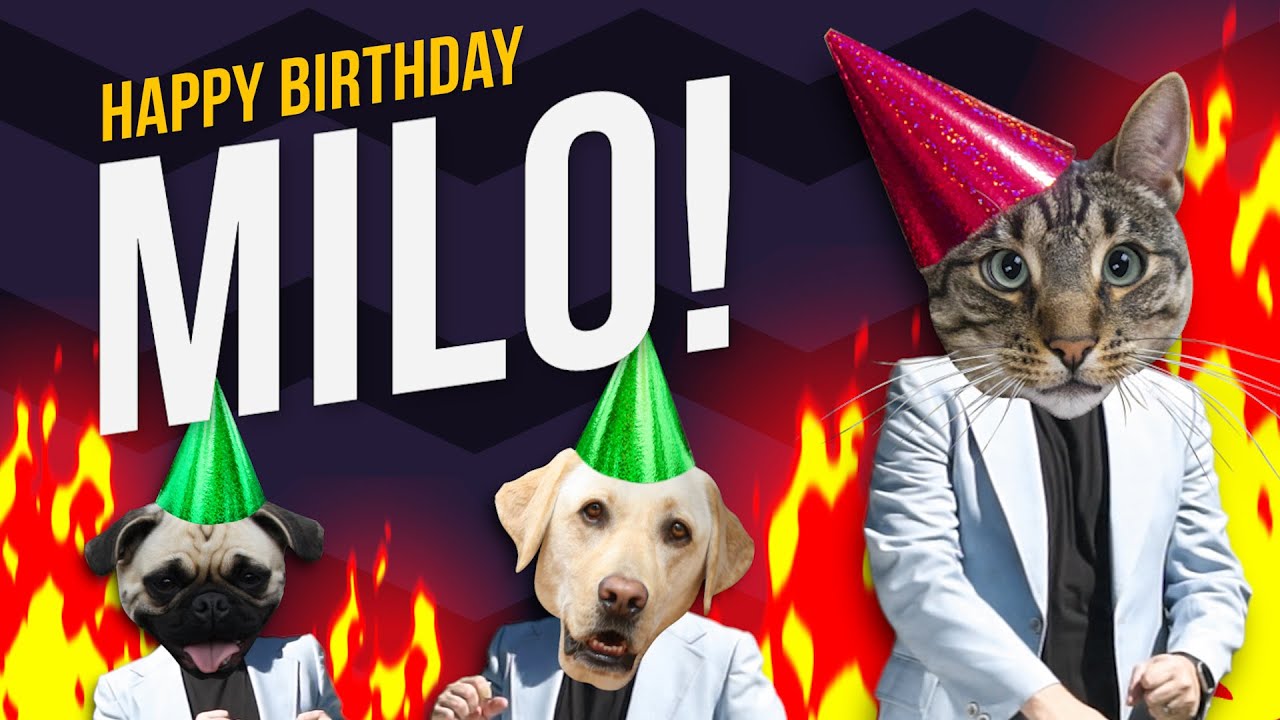 Happy Birthday Milo - Its time to dance! - YouTube