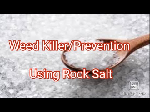 Natural Weed Prevention\Killer (Rock Salt) - YouTube