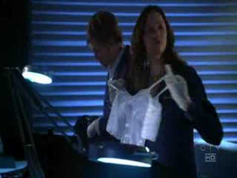 CSI Nick and Sara - Accidentally in Love - YouTube