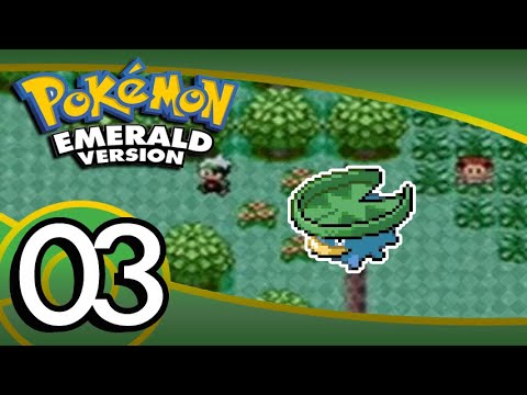 Let's Play Pokemon Emerald - Episode3: A New Pokemon at LOTAD Prices ...