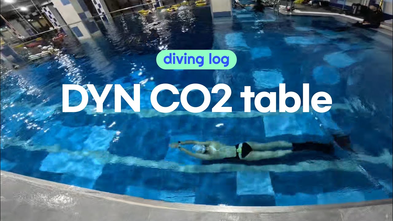 [Freediving log] DYNB CO2 table 다이나믹 도전! 중간에 충돌한 것까지🥲 | 직장인 프리다이빙 | 딥 ...