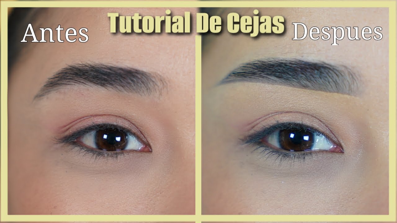 Tutorial De Cejas | Principiantes - YouTube