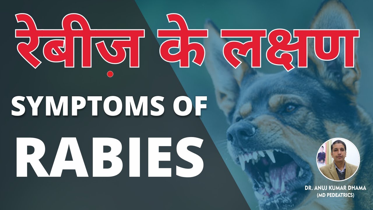 Signs And Symptoms Of Rabies