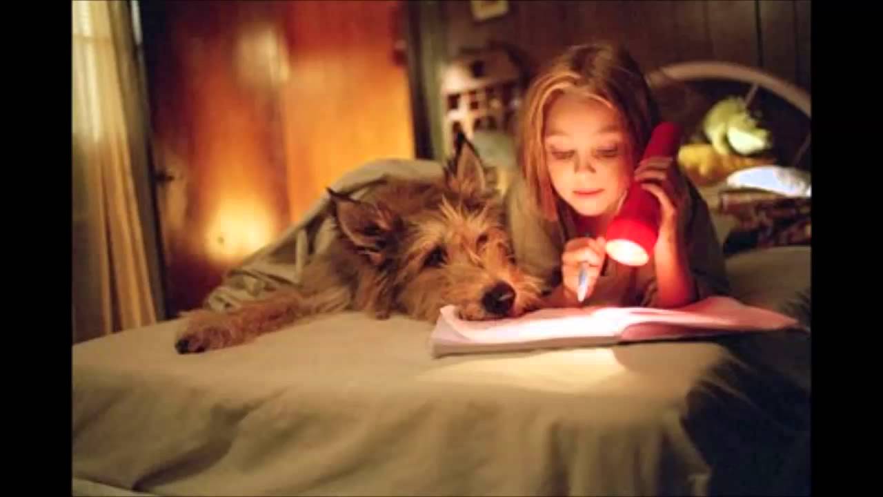 Because of Winn Dixie Commercial - YouTube