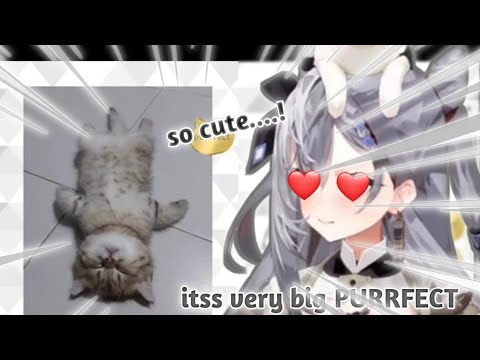 Zeta yang Gemes liat ini kucing [Clip Vestia Zeta.ch Hololive -ID ...