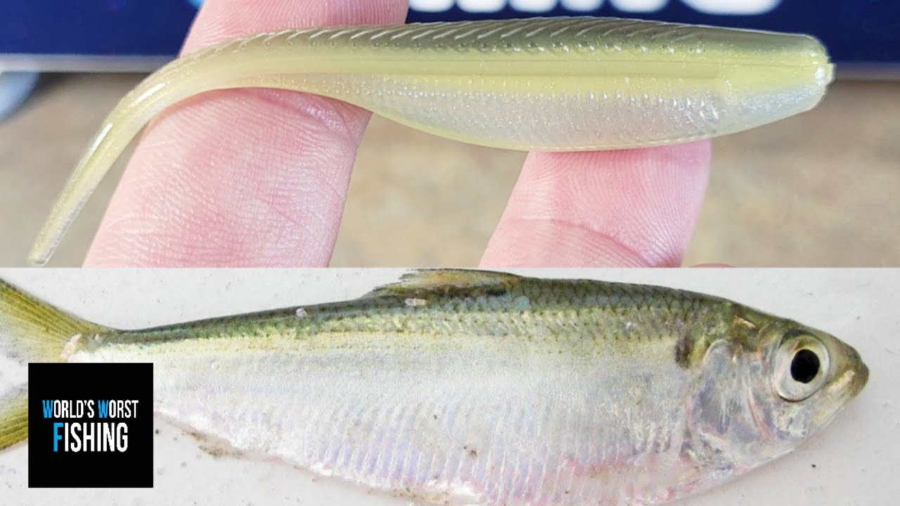 Guide To Color Matching Soft Baits; Lure Making Class, Alewife Color ...