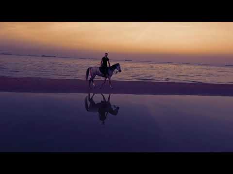 At Binme Görsel Show