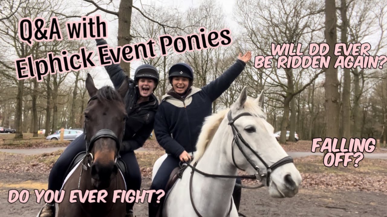 Q&A with @elphick.event.ponies in the forest. - YouTube