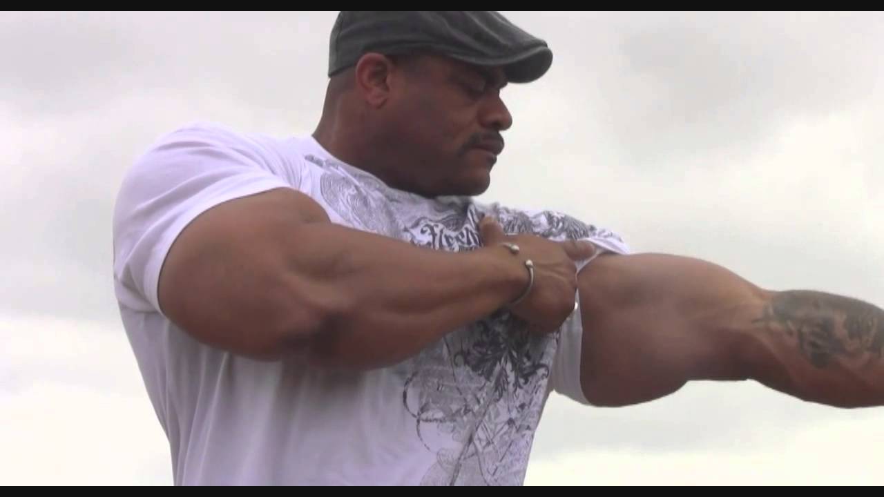 IFBB WILL HARRIS - YouTube