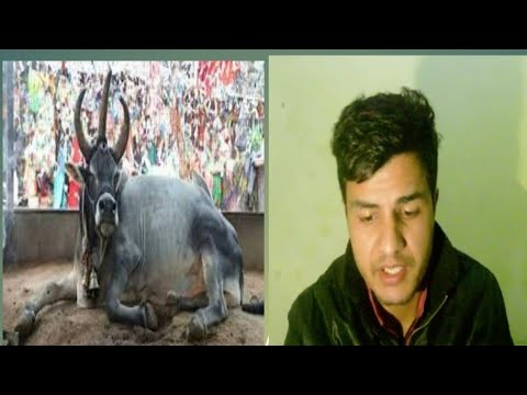 jantashankar😀 dham ke teen seeng wale nanddi baba ka nidhan😄🌹 - YouTube