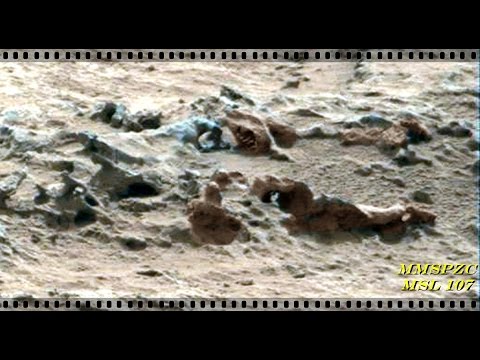 Reptile skull and bones on Mars ?? - YouTube