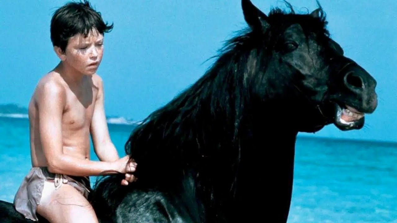 Official Trailer - THE BLACK STALLION (1979, Kelly Reno, Mickey Rooney ...
