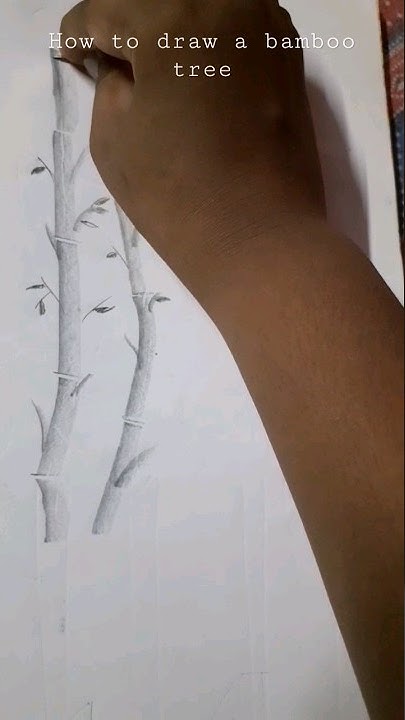 How to draw a bamboo tree in easy trick 😎🤩 #like #subscribe # shorts ...