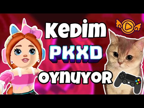 KEDİM PK XD OYNUYOR ! | HERA PKXD |