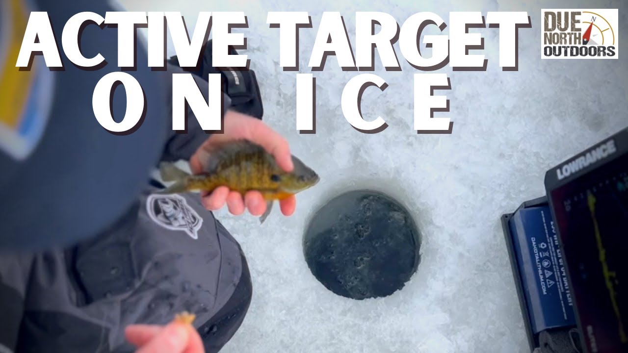 Lowrance Active Target on Ice - YouTube