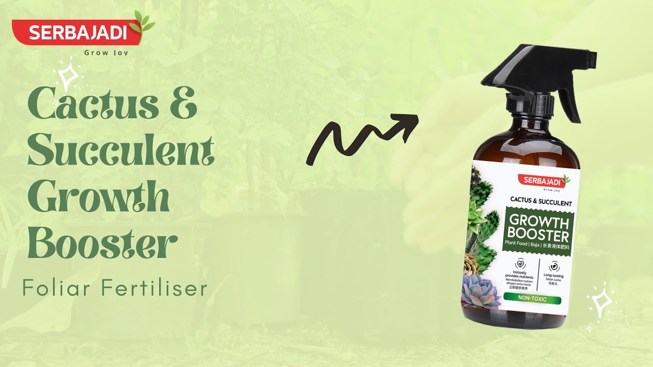 Growth Booster For All Cactus & Succulent In Liquid Form - YouTube