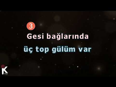 Barış Manço - Gesi Bağları | Karaoke (Sözleri/Lyrics)