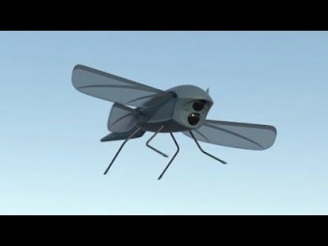 Animal Dynamics creates biomechanical small-UAS based on dragonfly ...