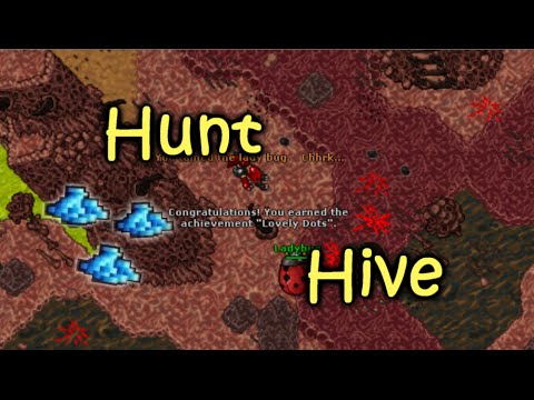[HUNT] -1 da Hive (MS) - Tibia TV - YouTube