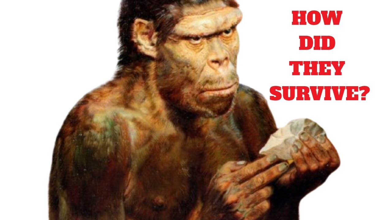 How did the early humans survived? - YouTube