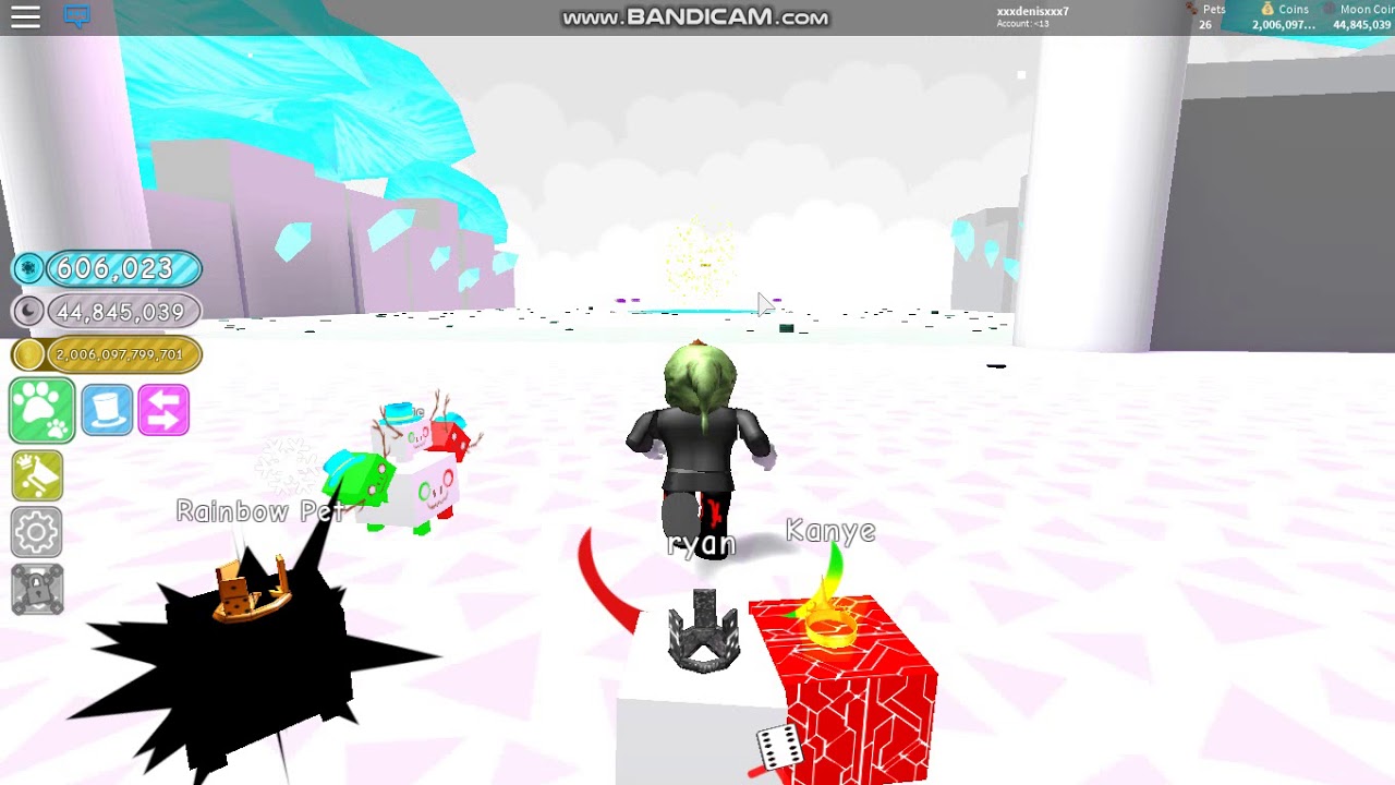 pets simulator pe roblox - YouTube