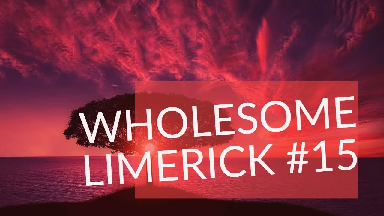 Wholesome Limerick #15 Never forget your friends. - YouTube