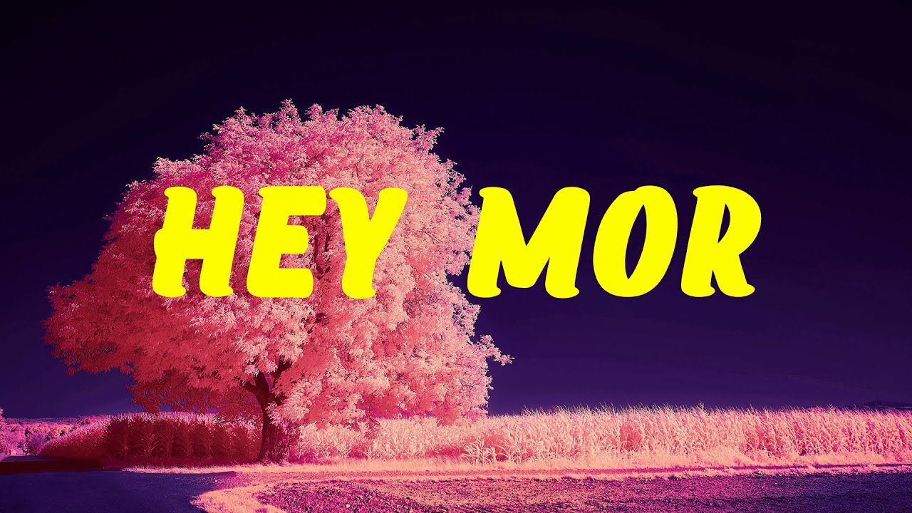 Ozuna Ft Feid - Hey Mor (Lyrics, Letra) - YouTube