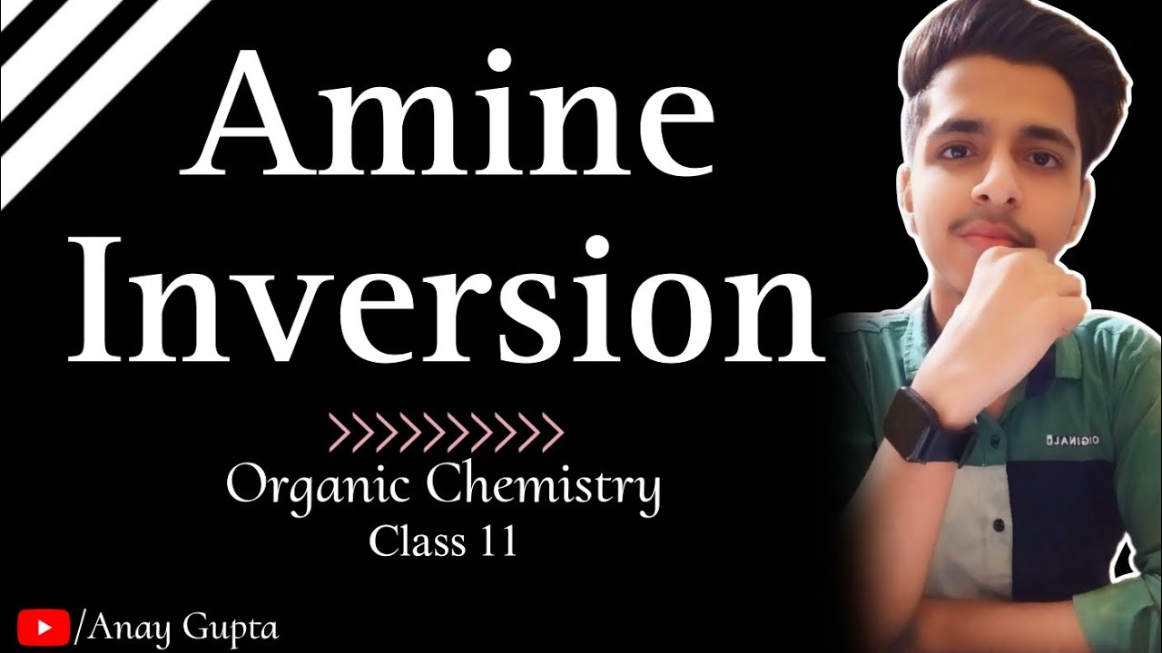 AMINE INVERSION - Flipping In Amines | IN SHORT |ORGANIC CHEMISTRY ...