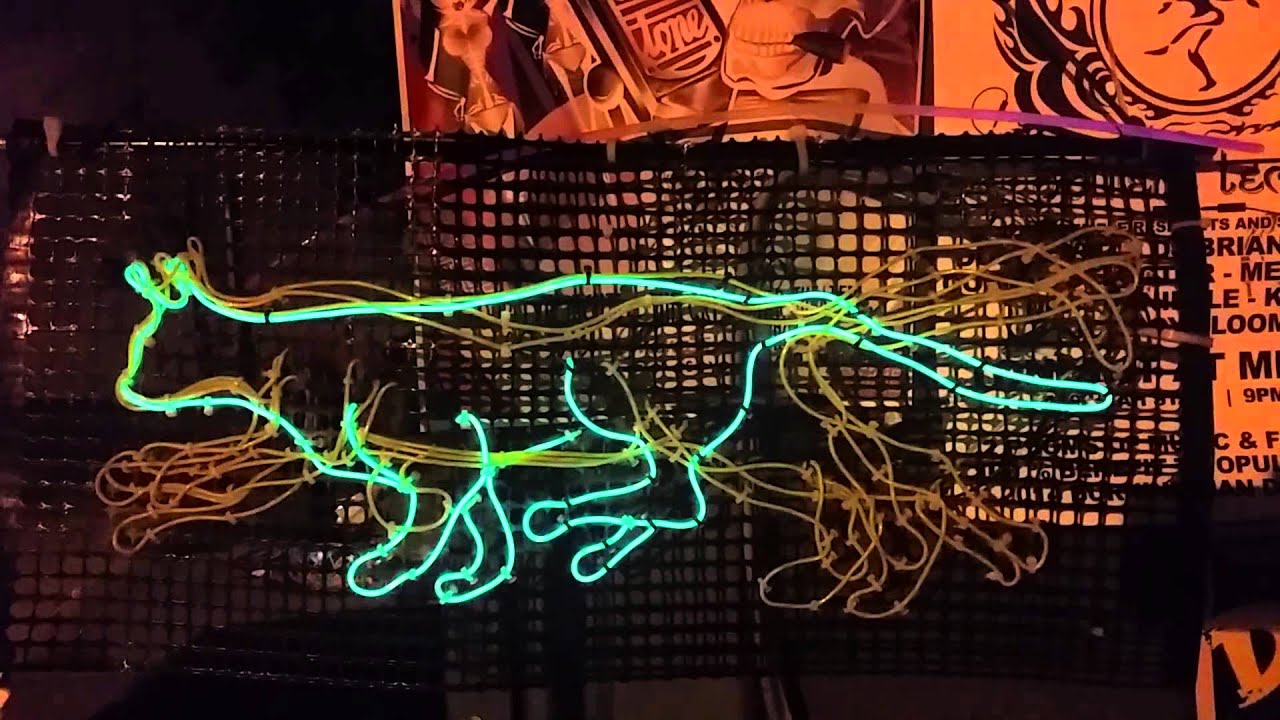 4K Ultra HD - Neon Cat Display - YouTube