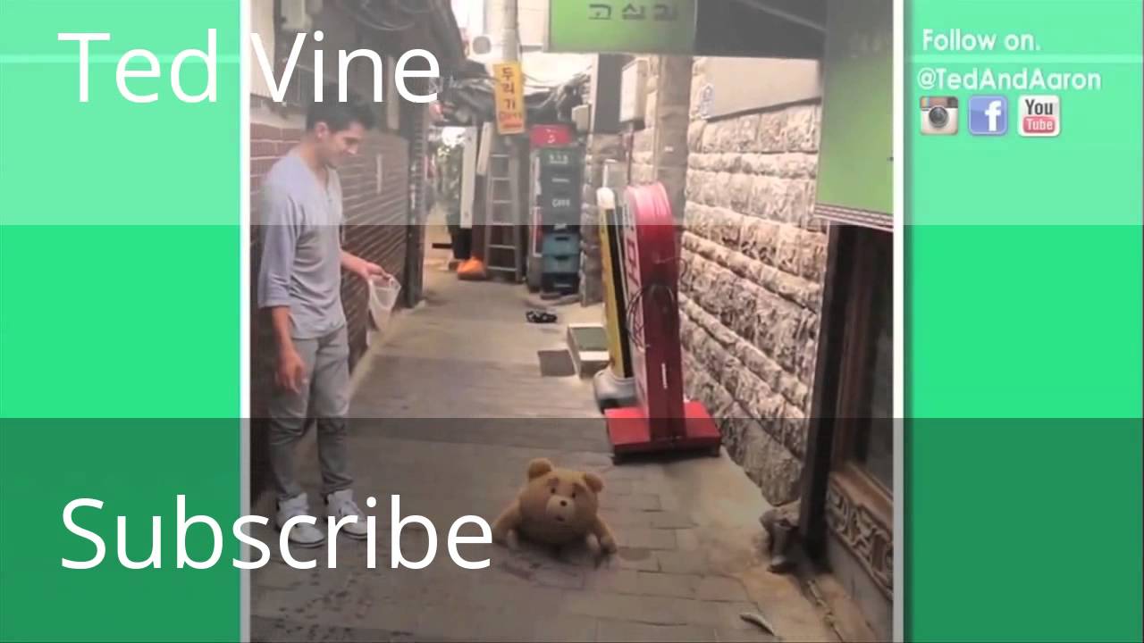 Teddy vines - vine compilation - YouTube