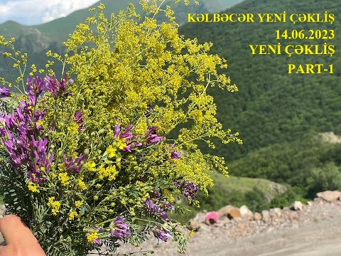 Kəlbəcər Yeni Çəkliş (14.06.2023)(Part 1)