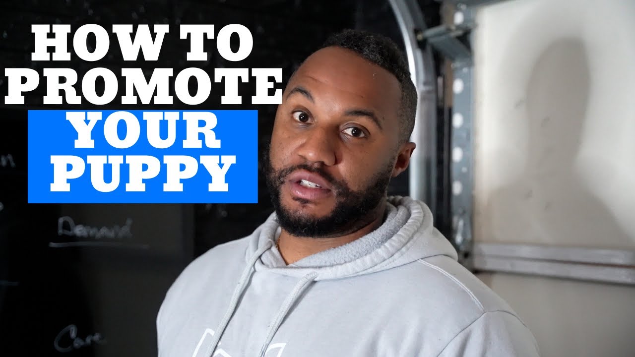 How to Sell Your Puppies - YouTube