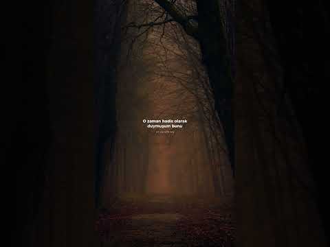 “Sen Yâr'ini bi haber mi sandın? Yoksa seni terk eder mi sandın?\