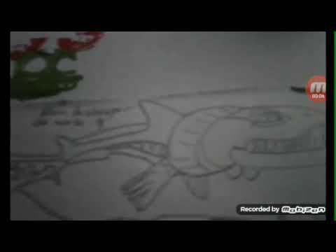 Hungry Shark Evolution Drawing. - YouTube
