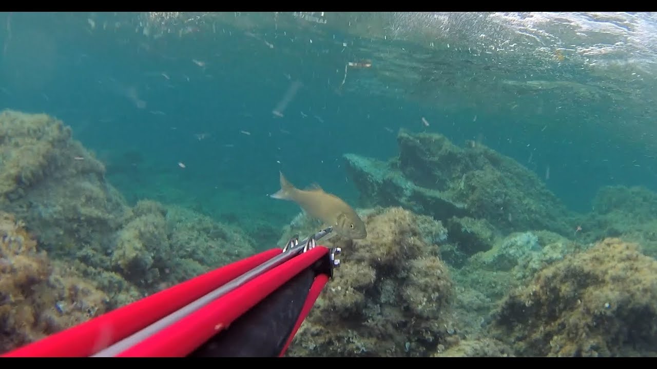 Ψαρευοντας στην ακτογραμμη no7!!!Spearfishing at the coastline no7 ...