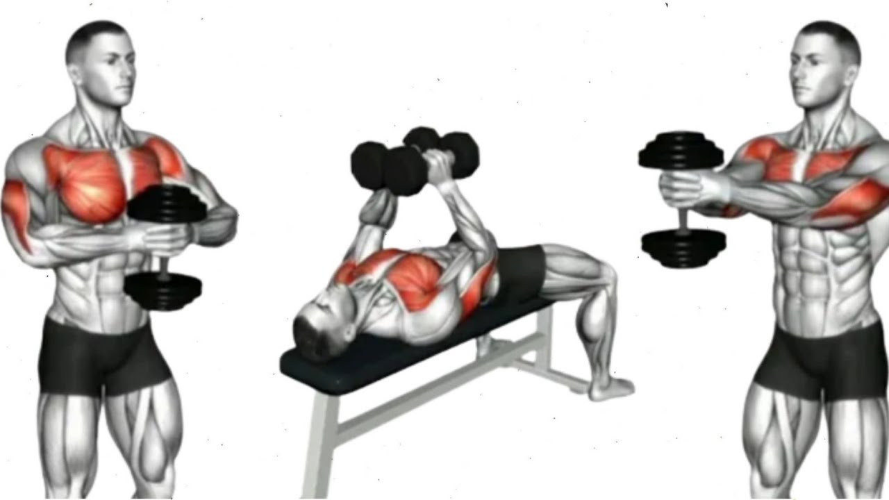 Dumbbell Chest Workout || chest workout - YouTube