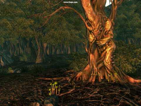 [Spoilers] We've actually seen the Cthaeh tree (real world) : r ...